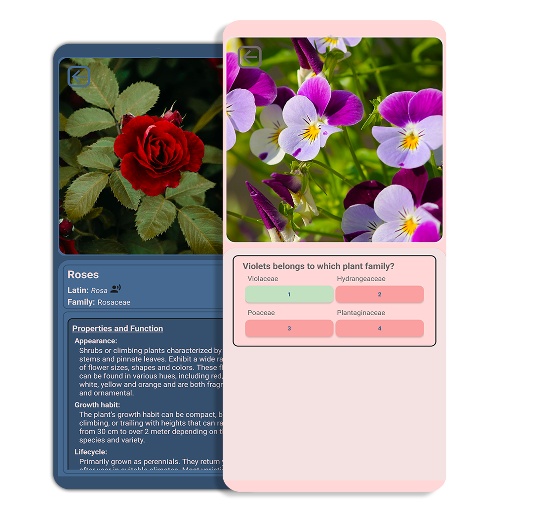 Stocks Average Value, Calorie Portions Calculator & Practise Plants - Brolin"